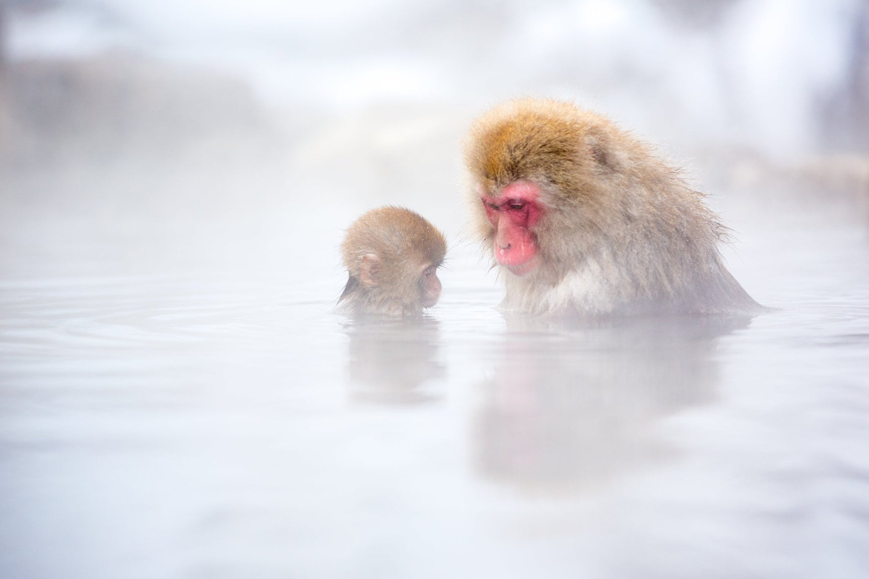 Onsen: The Heart of Japanese Relaxation and Renewal – The Wabi Sabi Shop